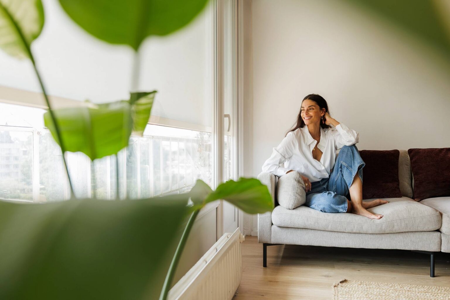 Harol for professionals | Harol